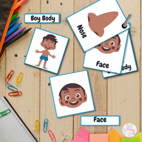 Beginner Nomenclature body parts cards 1 | Body parts flashcards| human ...