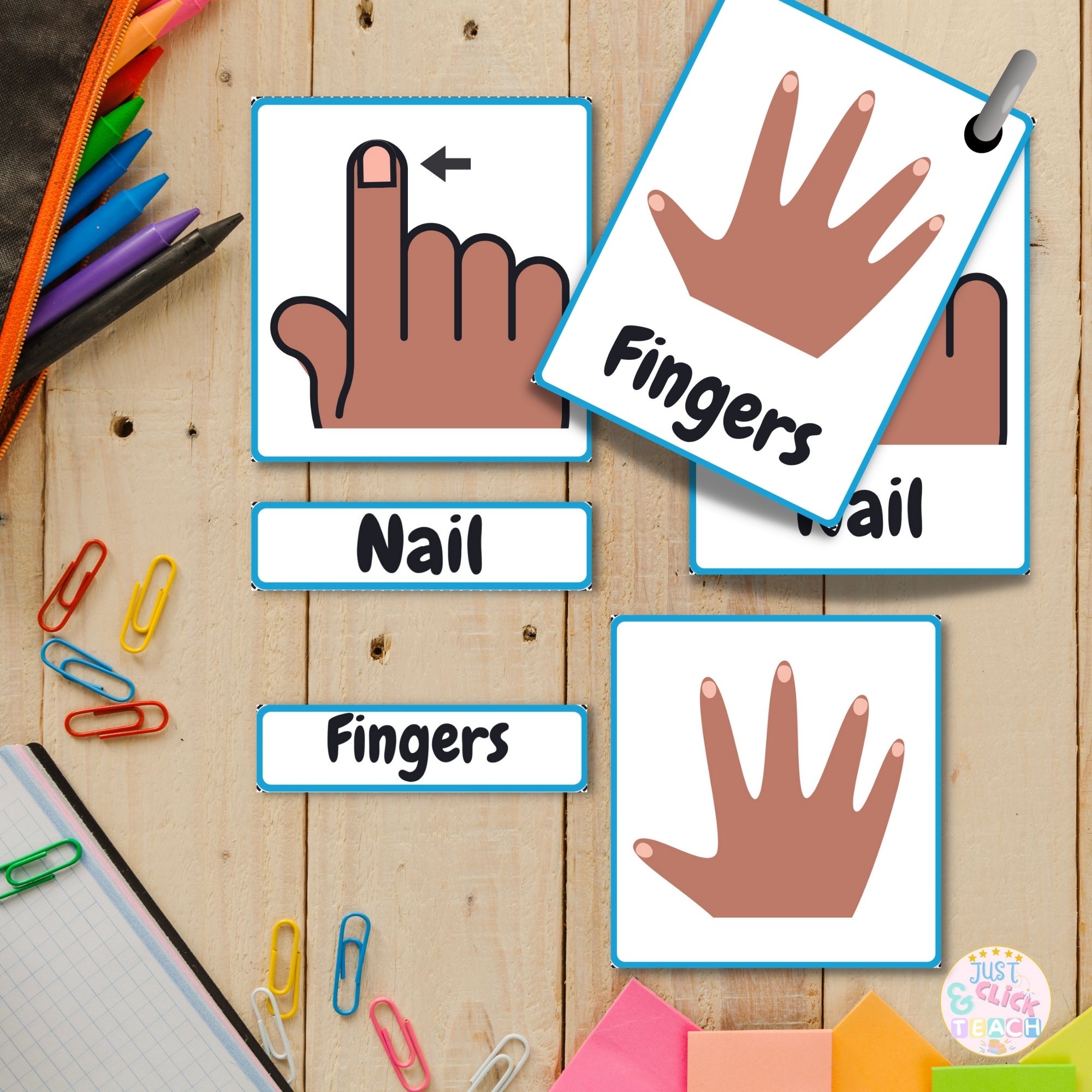 Beginner Nomenclature body parts cards 1 | Body parts flashcards| human ...