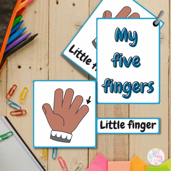 Beginner Nomenclature body parts cards 1 | Body parts flashcards| human ...