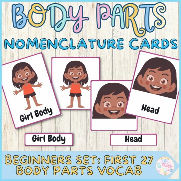 Beginner Nomenclature body parts cards 2 | Body parts flashcards| human ...