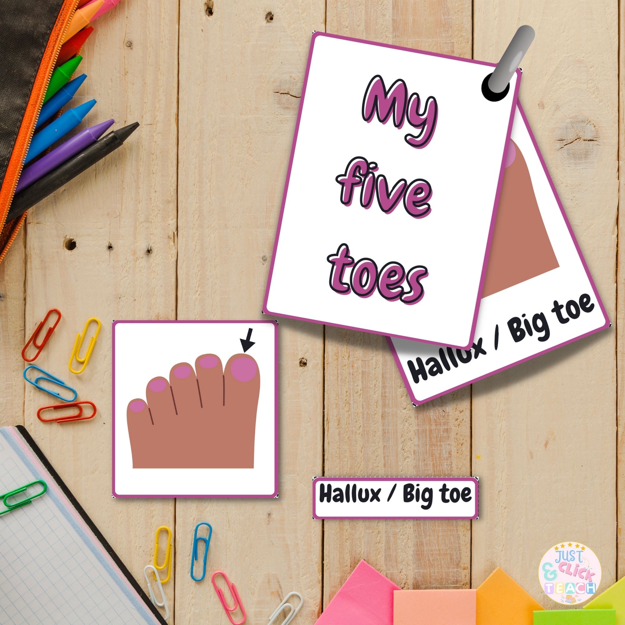 Beginner Nomenclature body parts cards 2 | Body parts flashcards| human ...