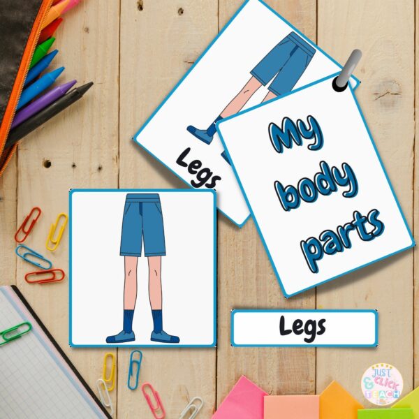 Beginner Nomenclature body parts cards 3| Body parts flashcards| human ...