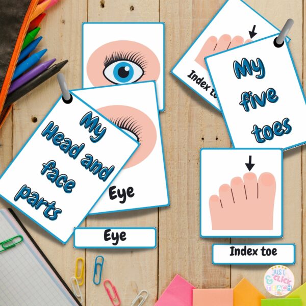 Beginner Nomenclature body parts cards 3| Body parts flashcards| human ...
