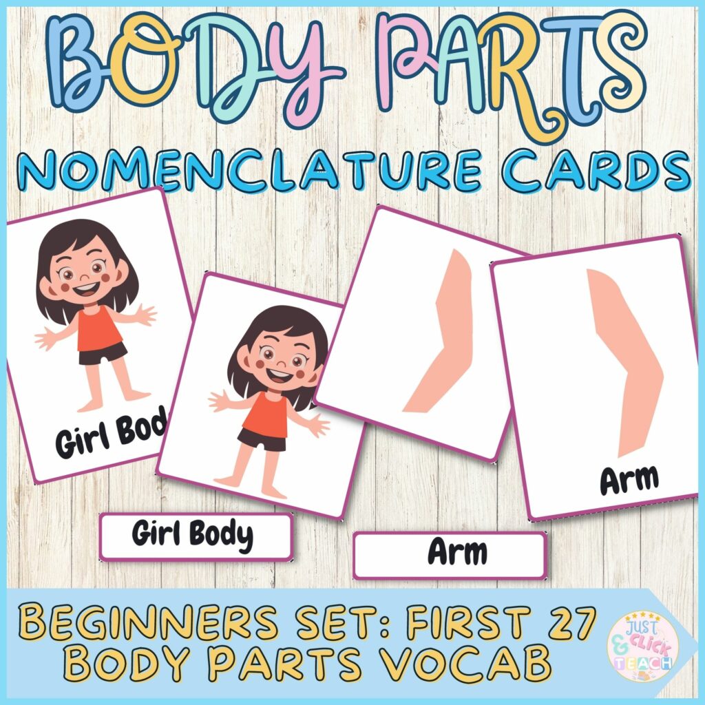 Beginner Nomenclature body parts cards 4| Body parts flashcards| human ...