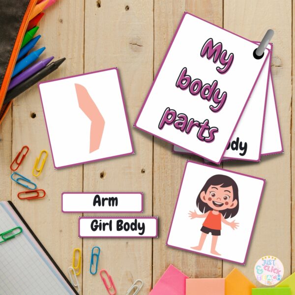 Beginner Nomenclature body parts cards 4| Body parts flashcards| human ...