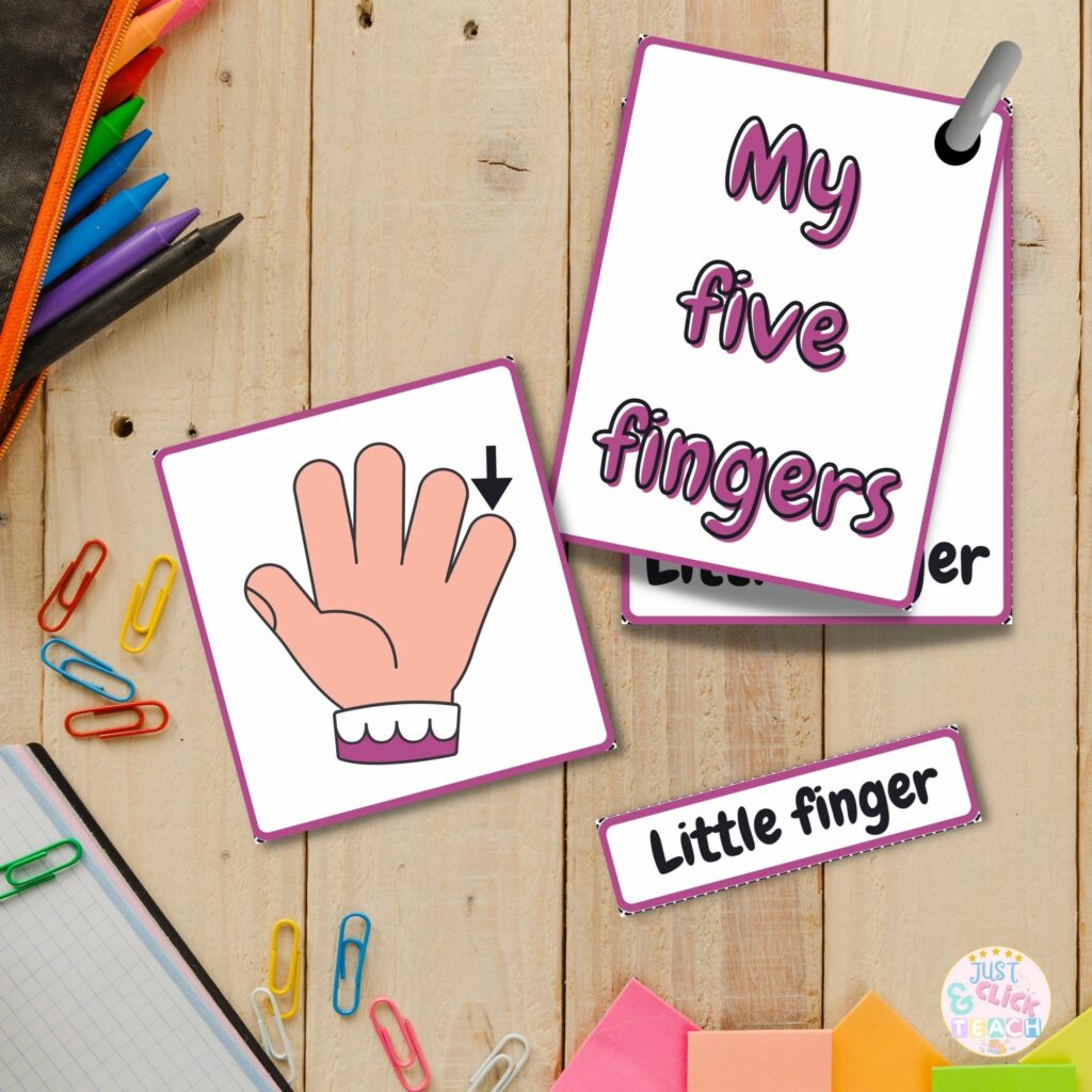 Beginner Nomenclature body parts cards 4| Body parts flashcards| human ...