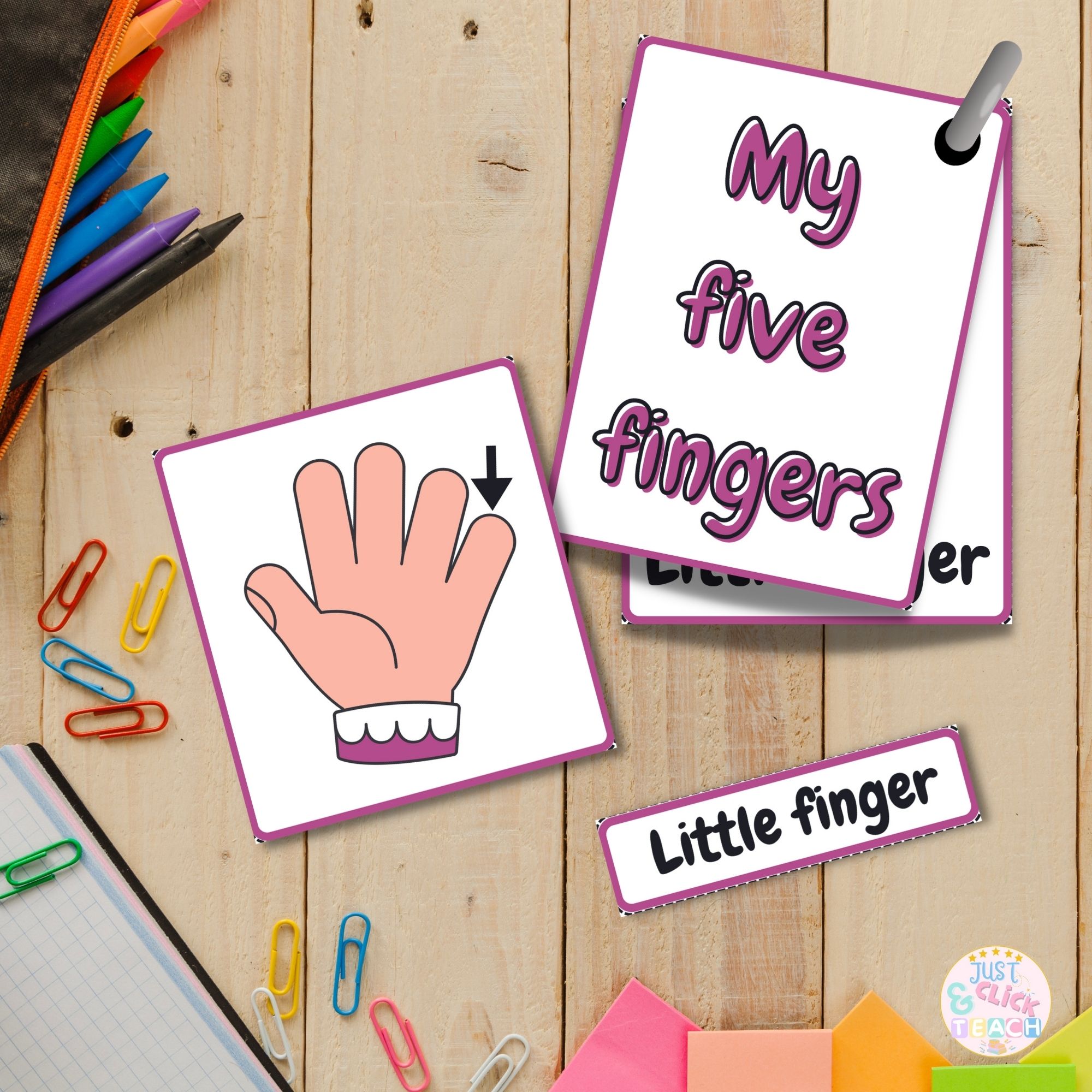 Beginner Nomenclature body parts cards 4| Body parts flashcards| human ...