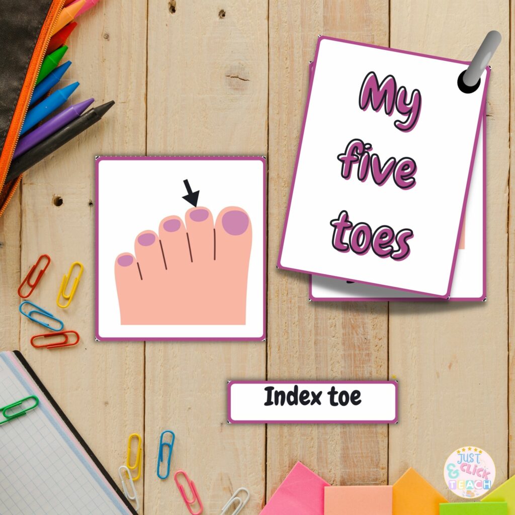 Beginner Nomenclature body parts cards 4| Body parts flashcards| human ...