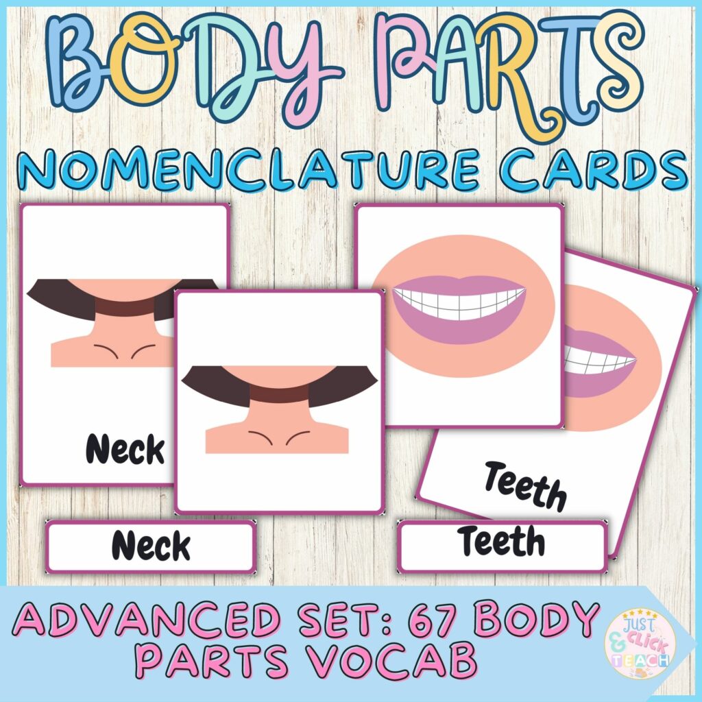 Advanced Nomenclature body parts cards 4| Body parts flashcards| human ...