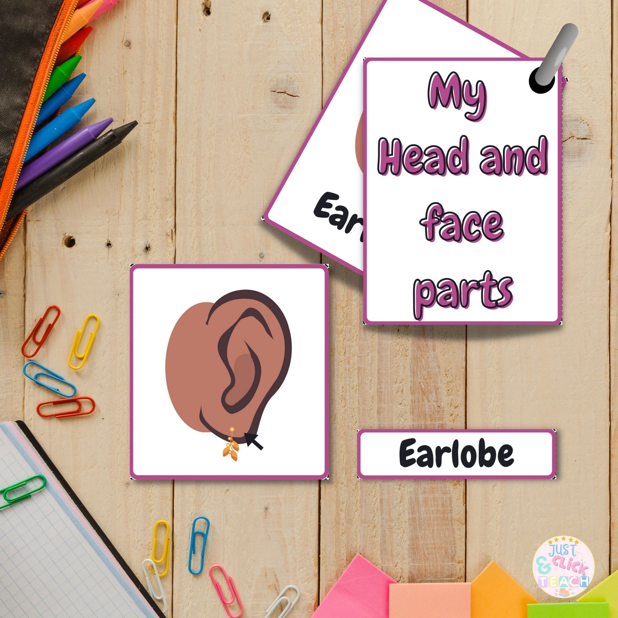 Advanced Nomenclature body parts cards 1 | Body parts flashcards| human ...