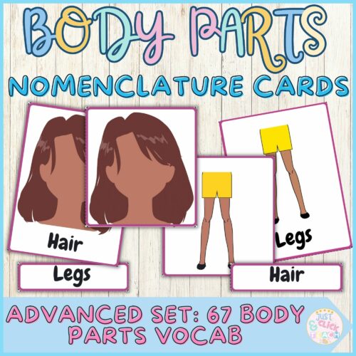 Advanced Nomenclature body parts cards 1 | Body parts flashcards| human ...