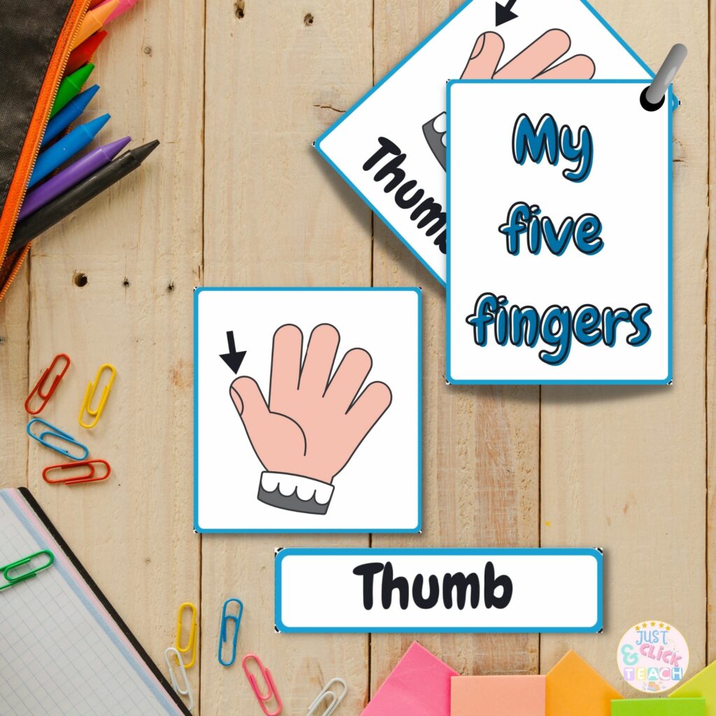 Advanced Nomenclature body parts cards 2 | Body parts flashcards| human ...