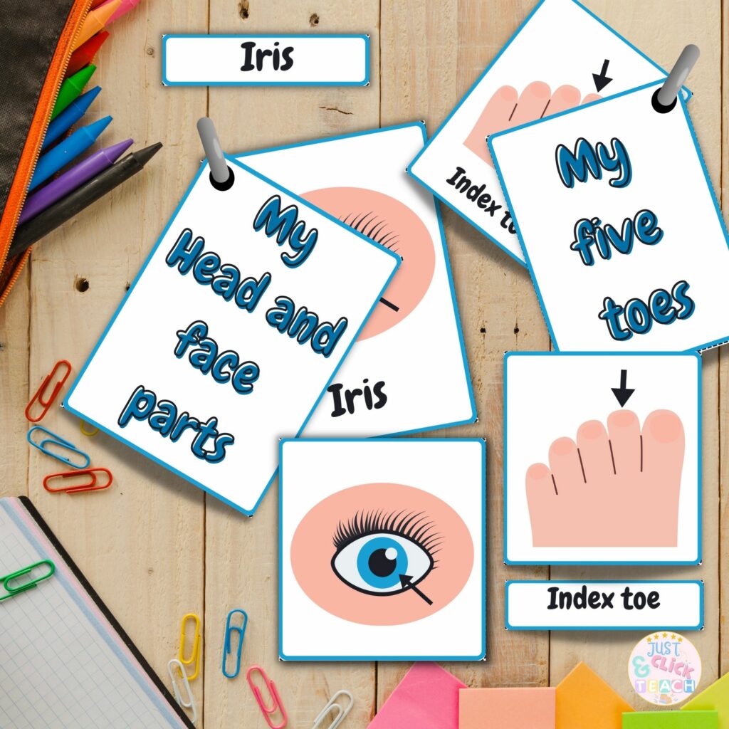 Advanced Nomenclature body parts cards 2 | Body parts flashcards| human ...