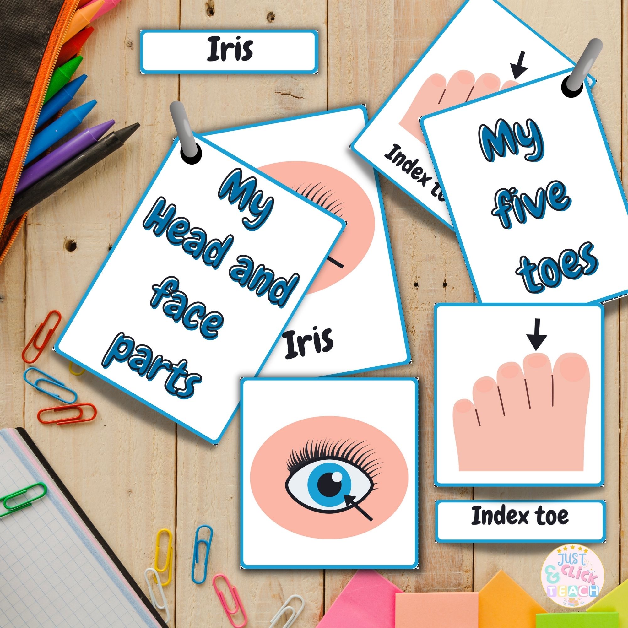 Advanced Nomenclature body parts cards 2 | Body parts flashcards| human ...