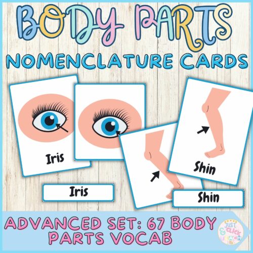 Advanced Nomenclature body parts cards 2 | Body parts flashcards| human ...