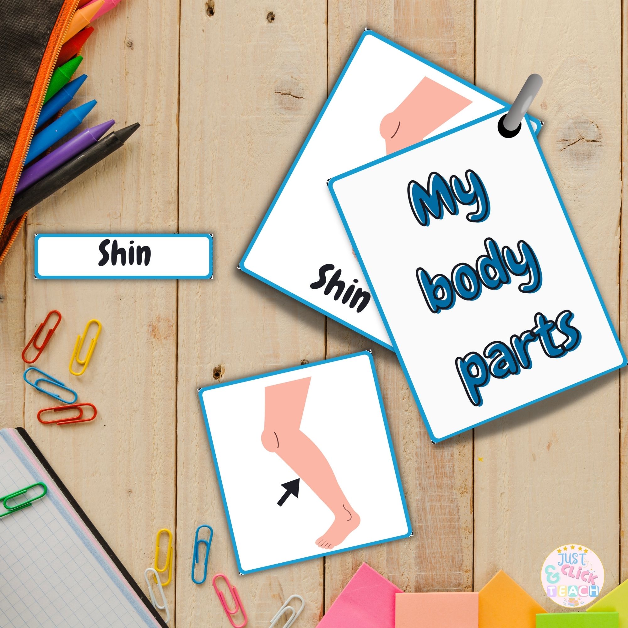 Advanced Nomenclature body parts cards 2 | Body parts flashcards| human ...