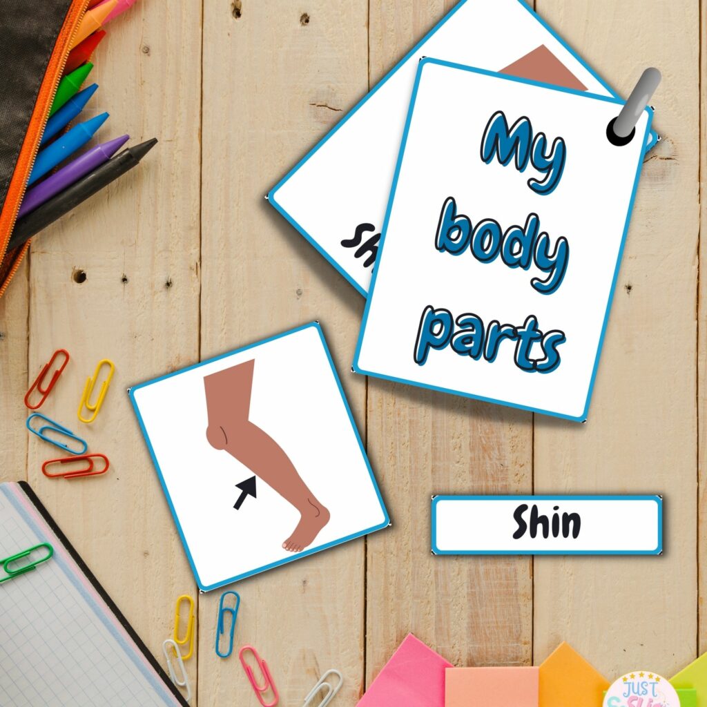 Advanced Nomenclature body parts cards 3 | Body parts flashcards| human ...