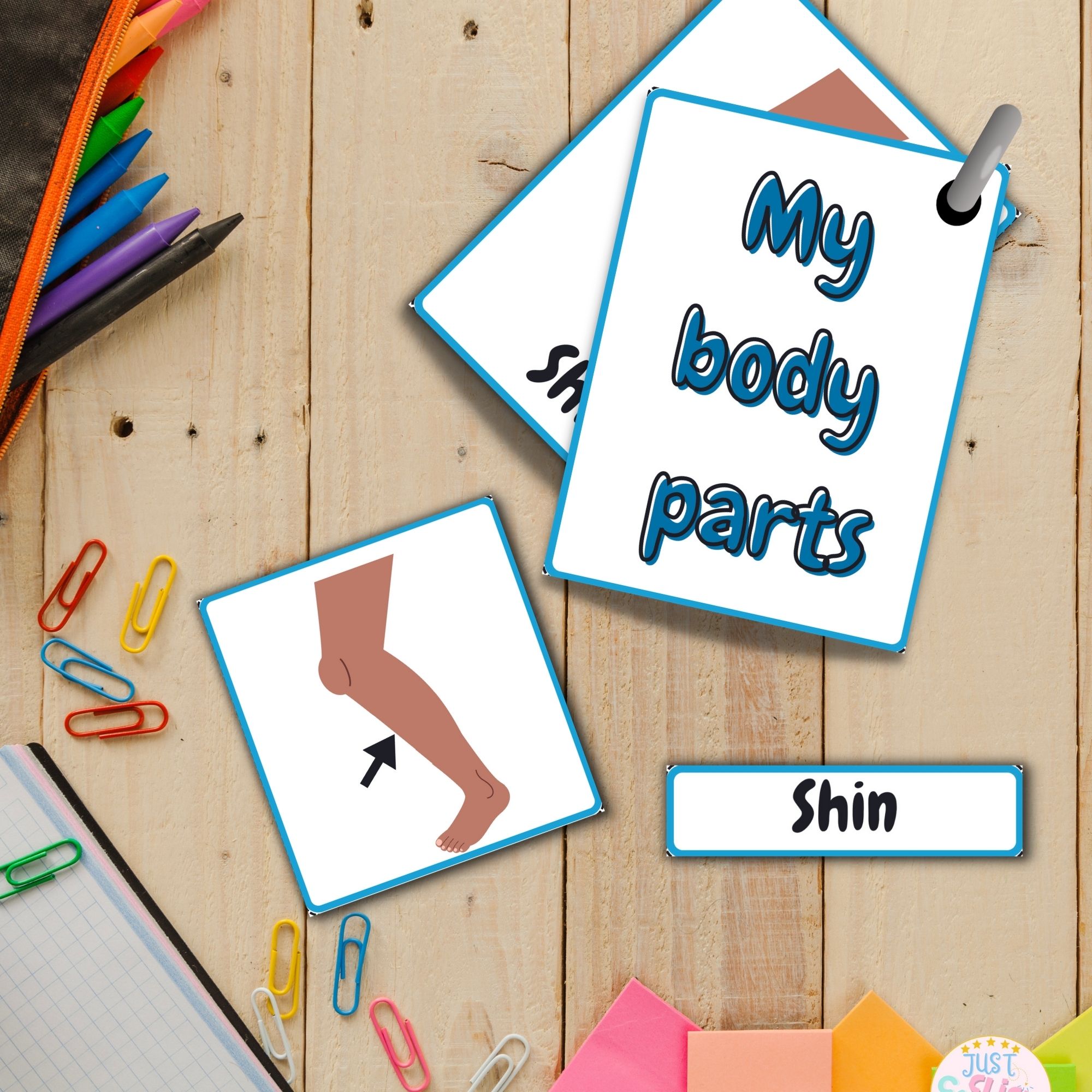 Advanced Nomenclature body parts cards 3 | Body parts flashcards| human ...