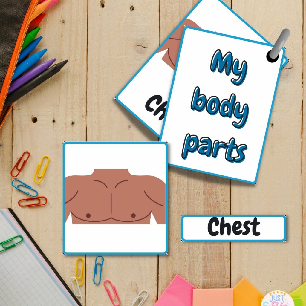 Advanced Nomenclature body parts cards 3 | Body parts flashcards| human ...