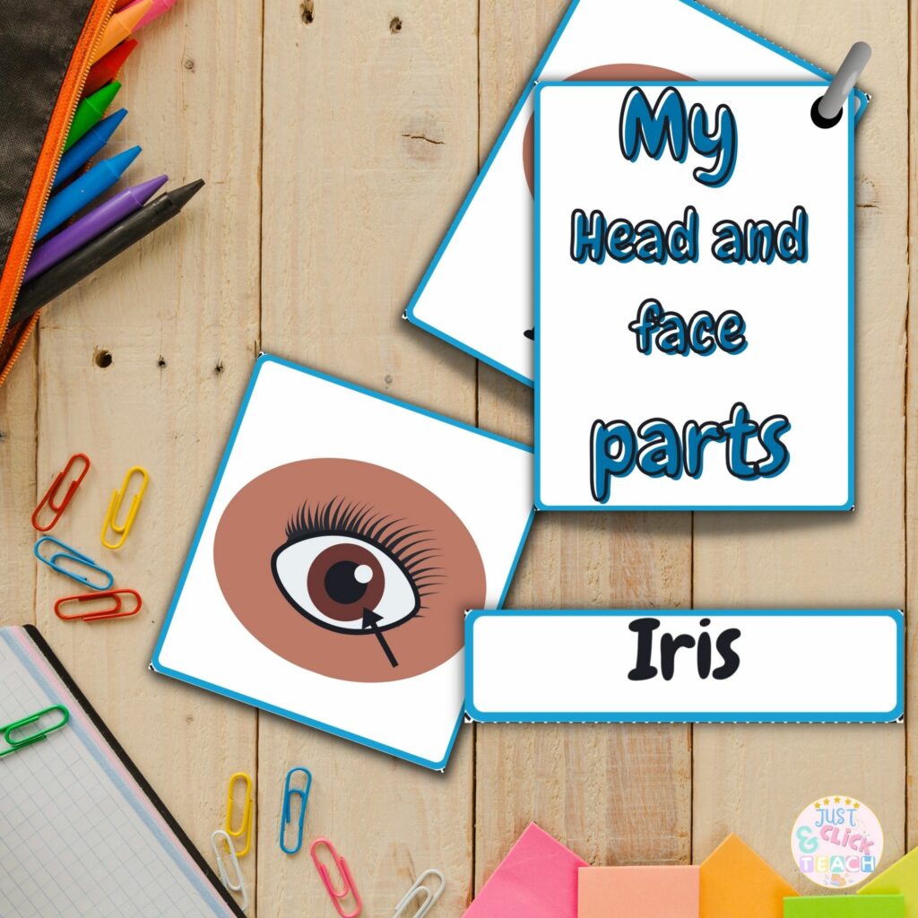 Advanced Nomenclature body parts cards 3 | Body parts flashcards| human ...