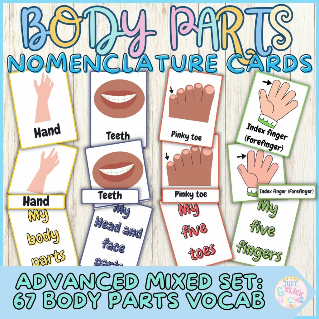 Advanced Nomenclature body parts cards 5 | Body parts flashcards| human ...