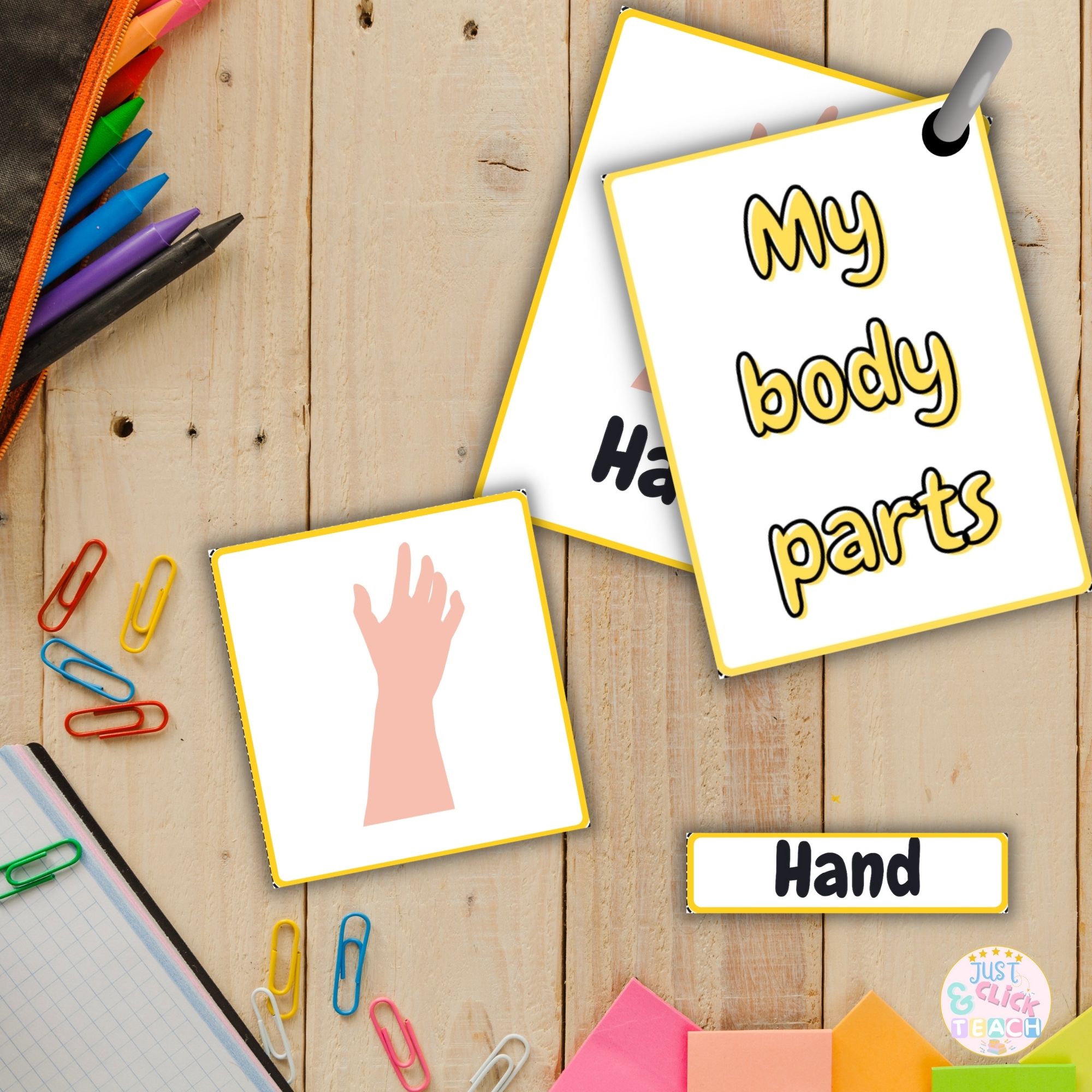 Advanced Nomenclature body parts cards 5 | Body parts flashcards| human ...