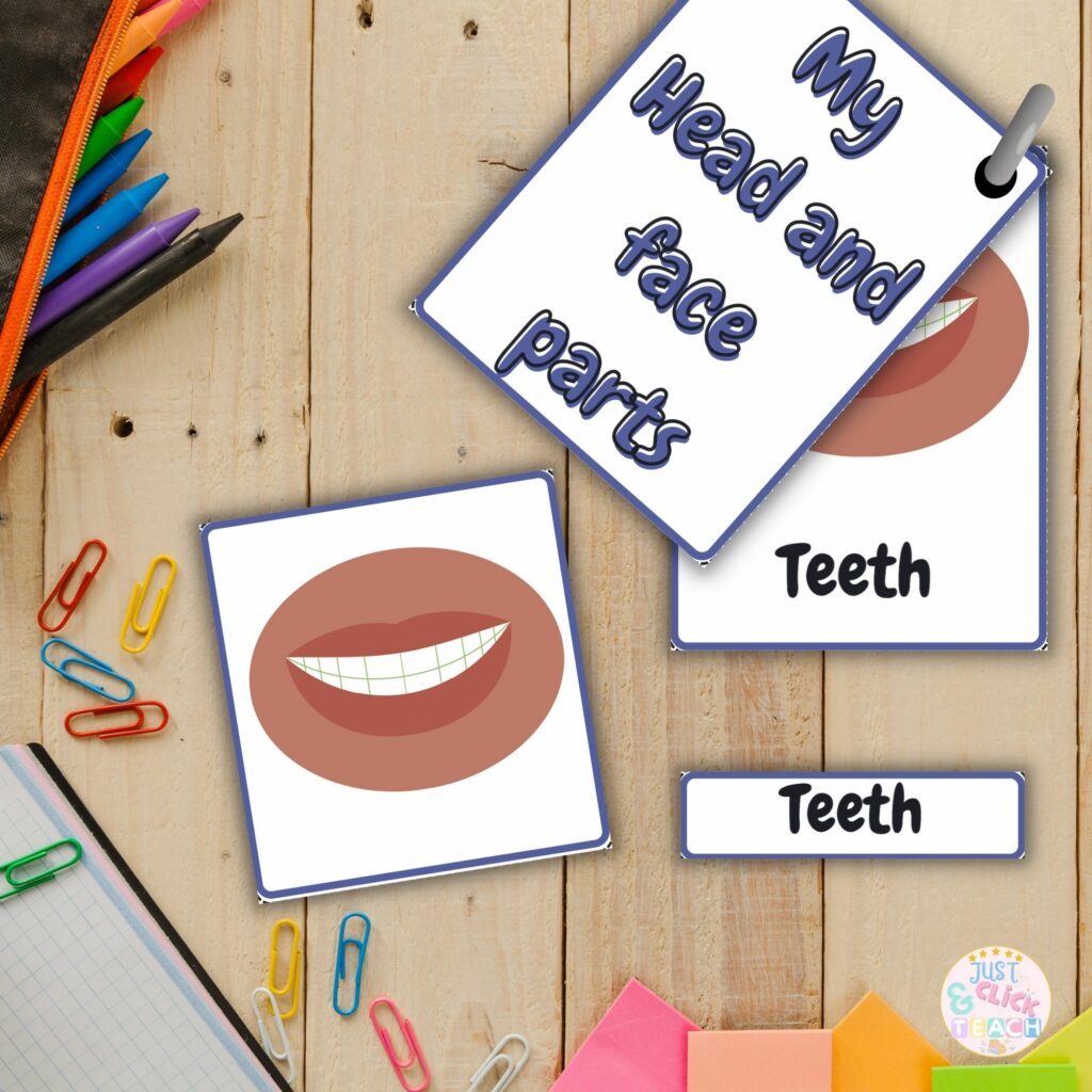 Advanced Nomenclature body parts cards 5 | Body parts flashcards| human ...