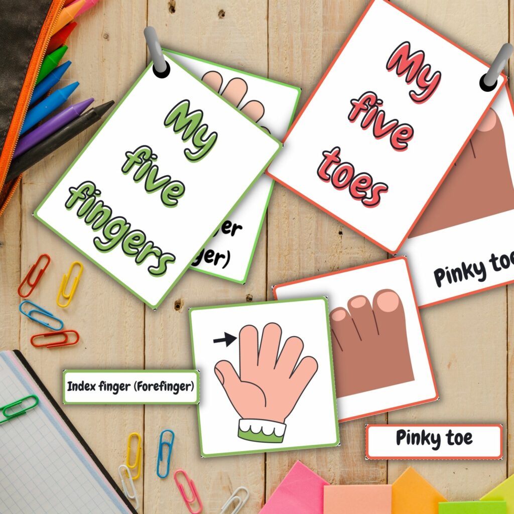 Advanced Nomenclature body parts cards 5 | Body parts flashcards| human ...