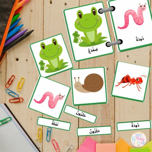 Arabic Spring Vocabulary Flashcards, Montessori 3-Part flashcards|ESL ...