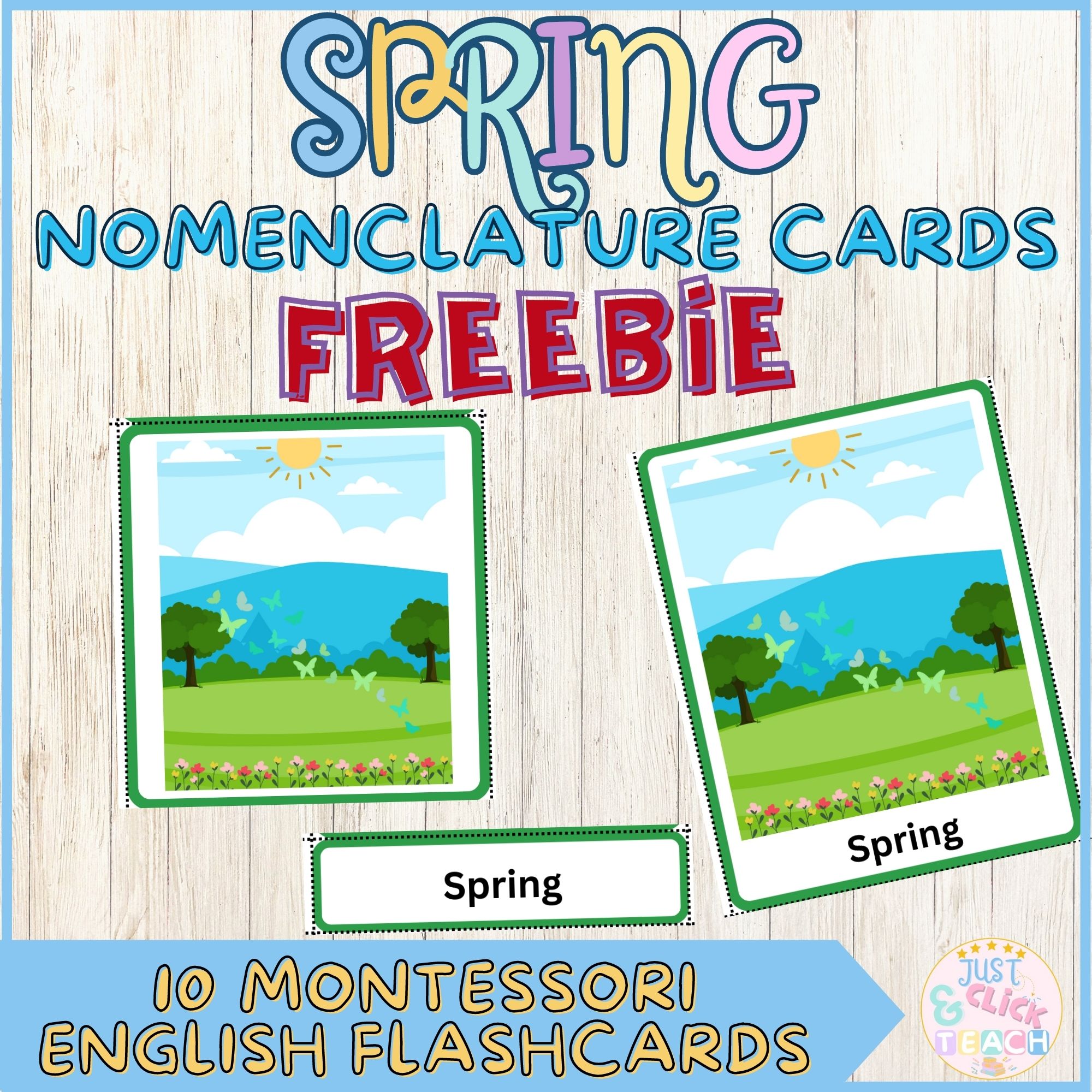 FREE Spring Vocabulary Flashcards, Montessori 3-Part cards|ESL ...