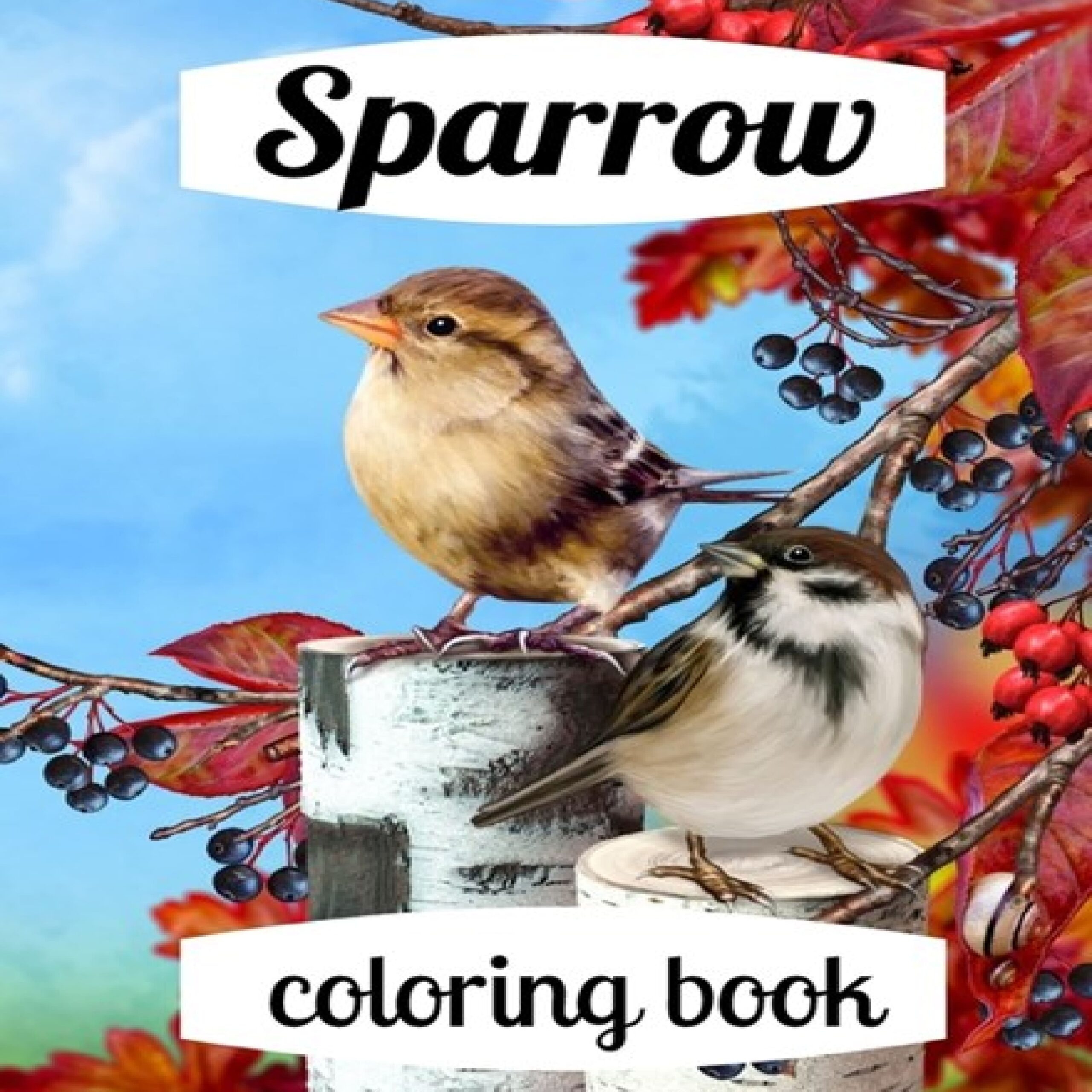 Sparrow Coloring Book : Easy and Fun Sparrows Coloring Pages for Kids ...