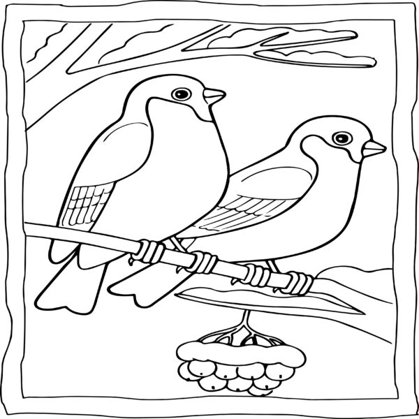 Sparrow Coloring Book : Easy and Fun Sparrows Coloring Pages for Kids ...