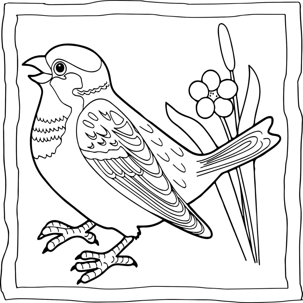 Sparrow Coloring Book : Easy and Fun Sparrows Coloring Pages for Kids ...