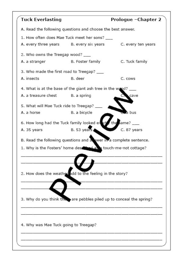 Natalie Babbitt "Tuck Everlasting" worksheets | Made By Teachers