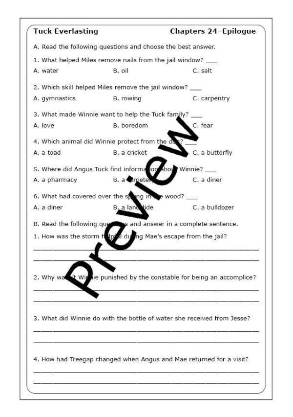 Natalie Babbitt "Tuck Everlasting" worksheets | Made By Teachers
