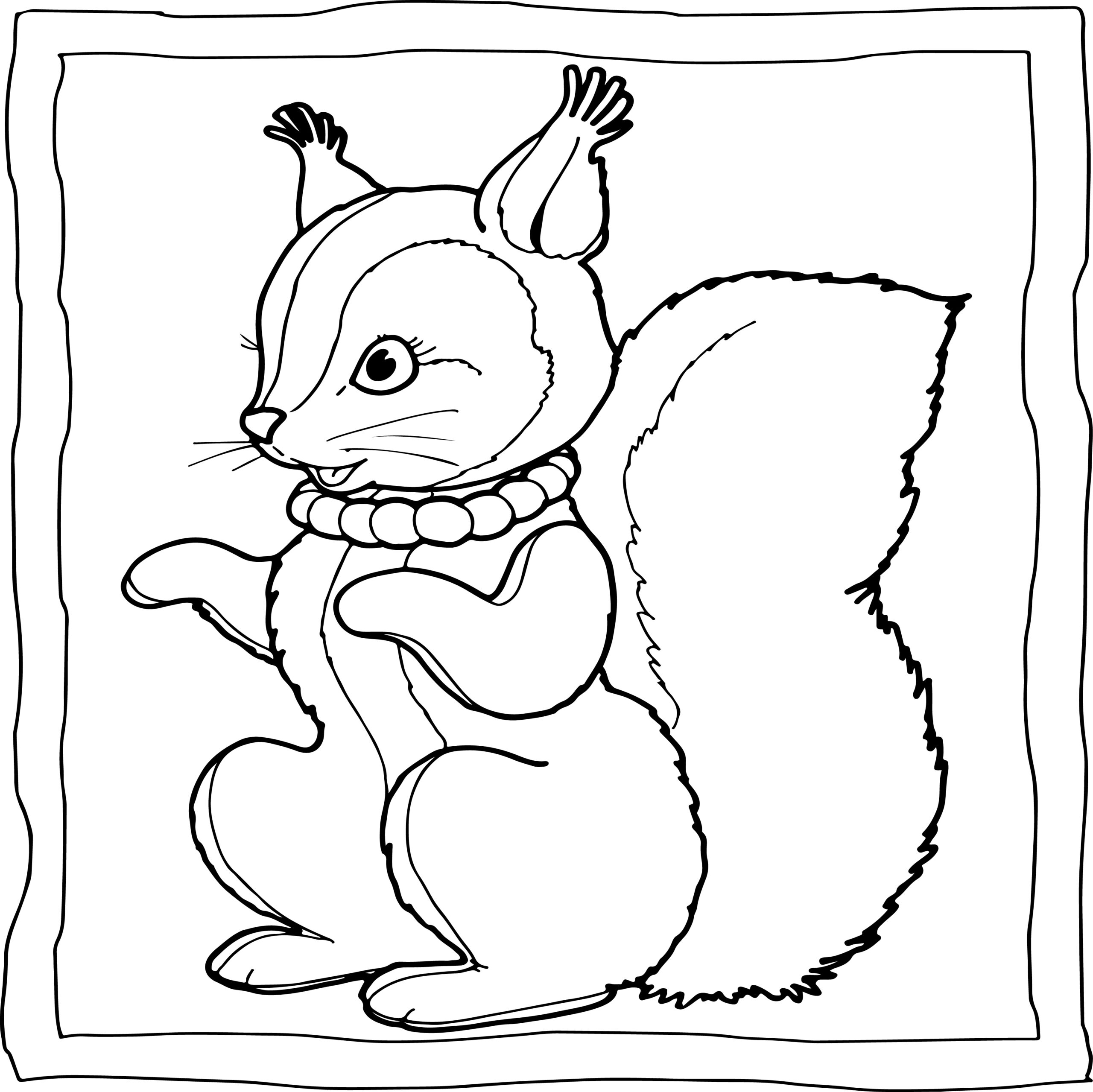 Squirrel Coloring Book : Easy and Fun Squirrels Coloring Pages for Kids ...