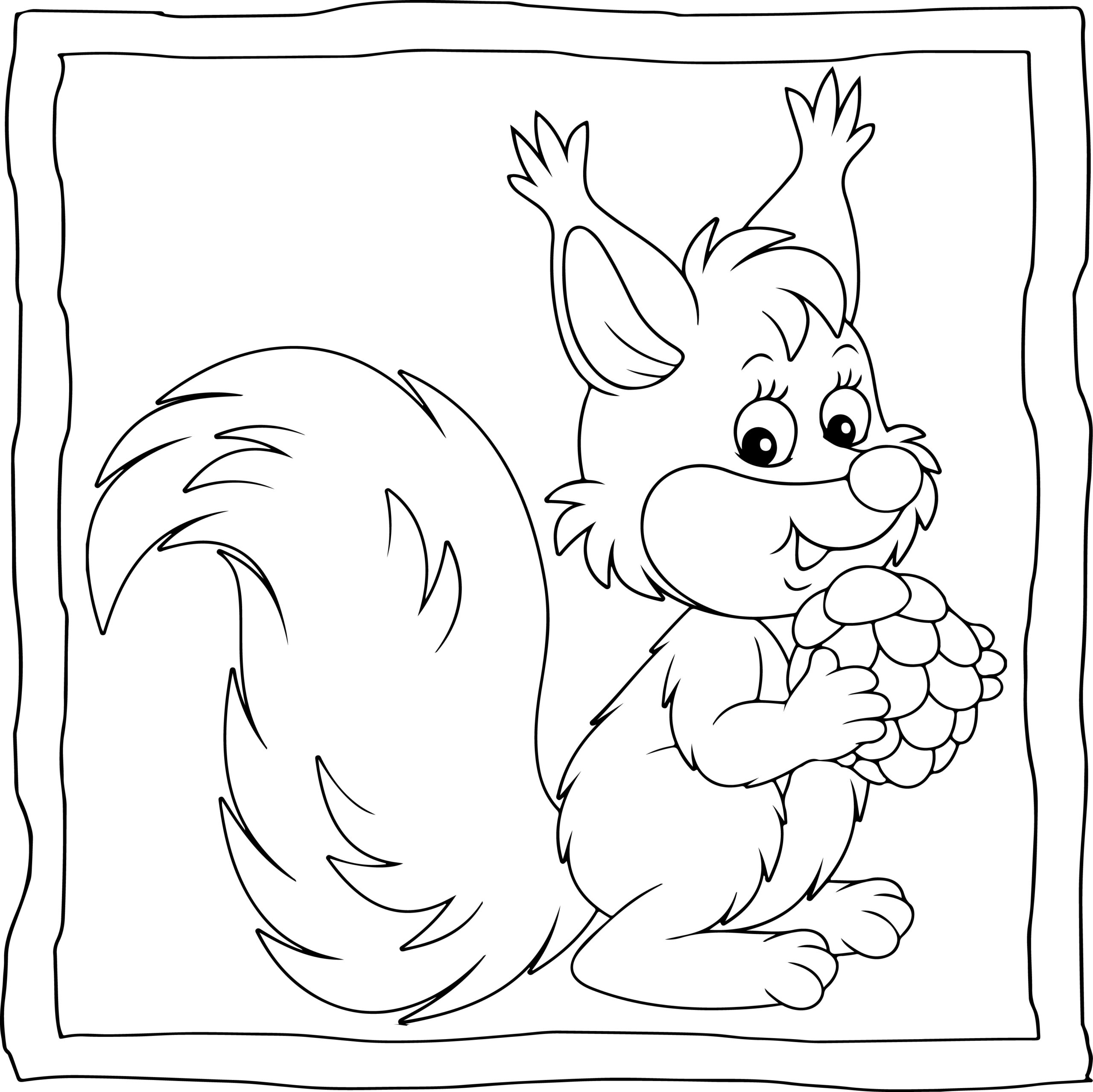 Squirrel Coloring Book : Easy and Fun Squirrels Coloring Pages for Kids ...