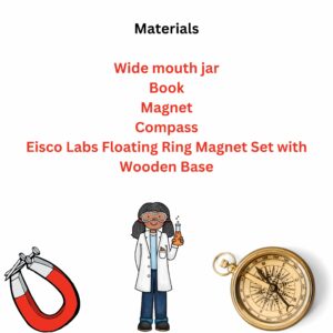 Magnetism-2 Labs and Reading Middle School Physics | Made By Teachers