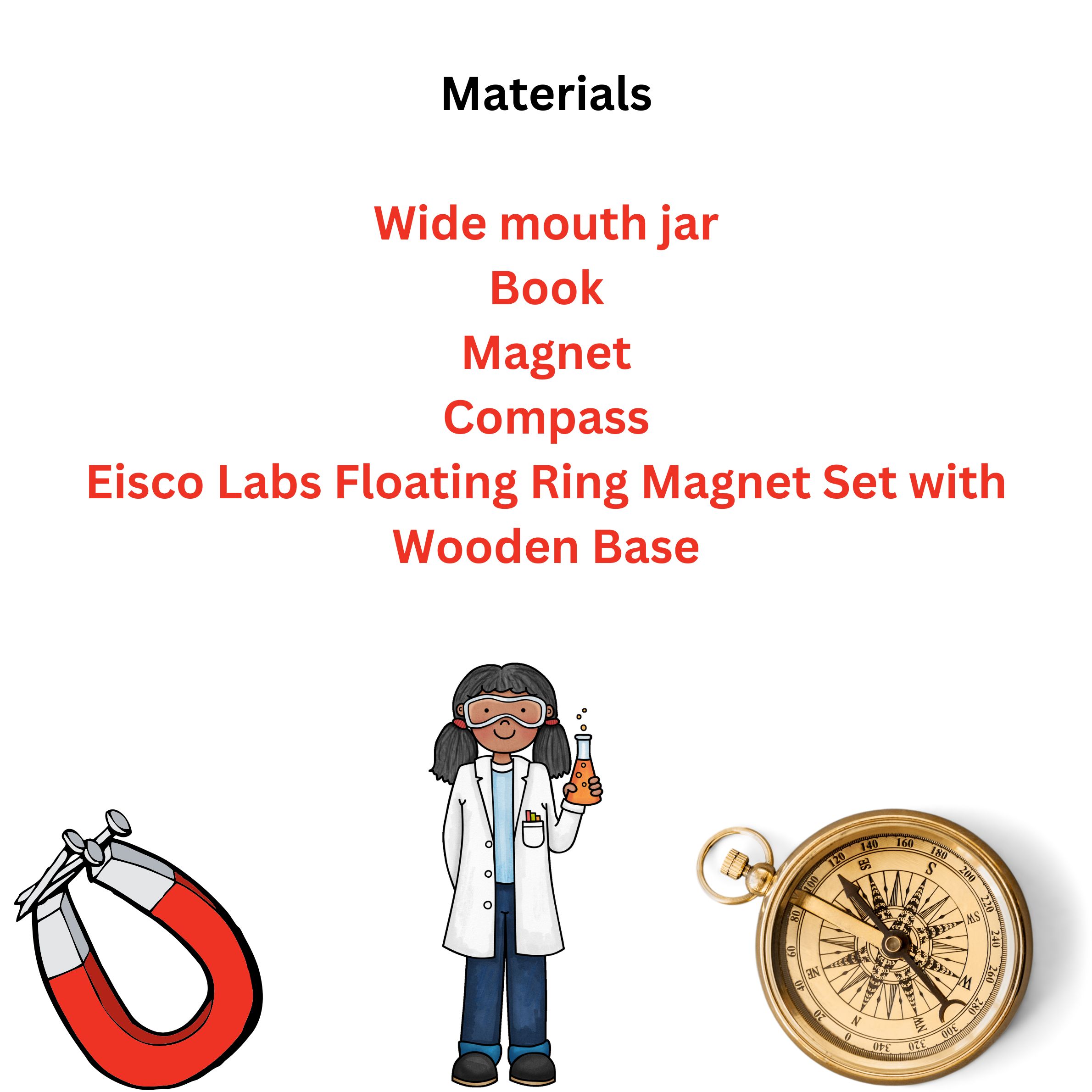 Magnetism-2 Labs and Reading Middle School Physics | Made By Teachers