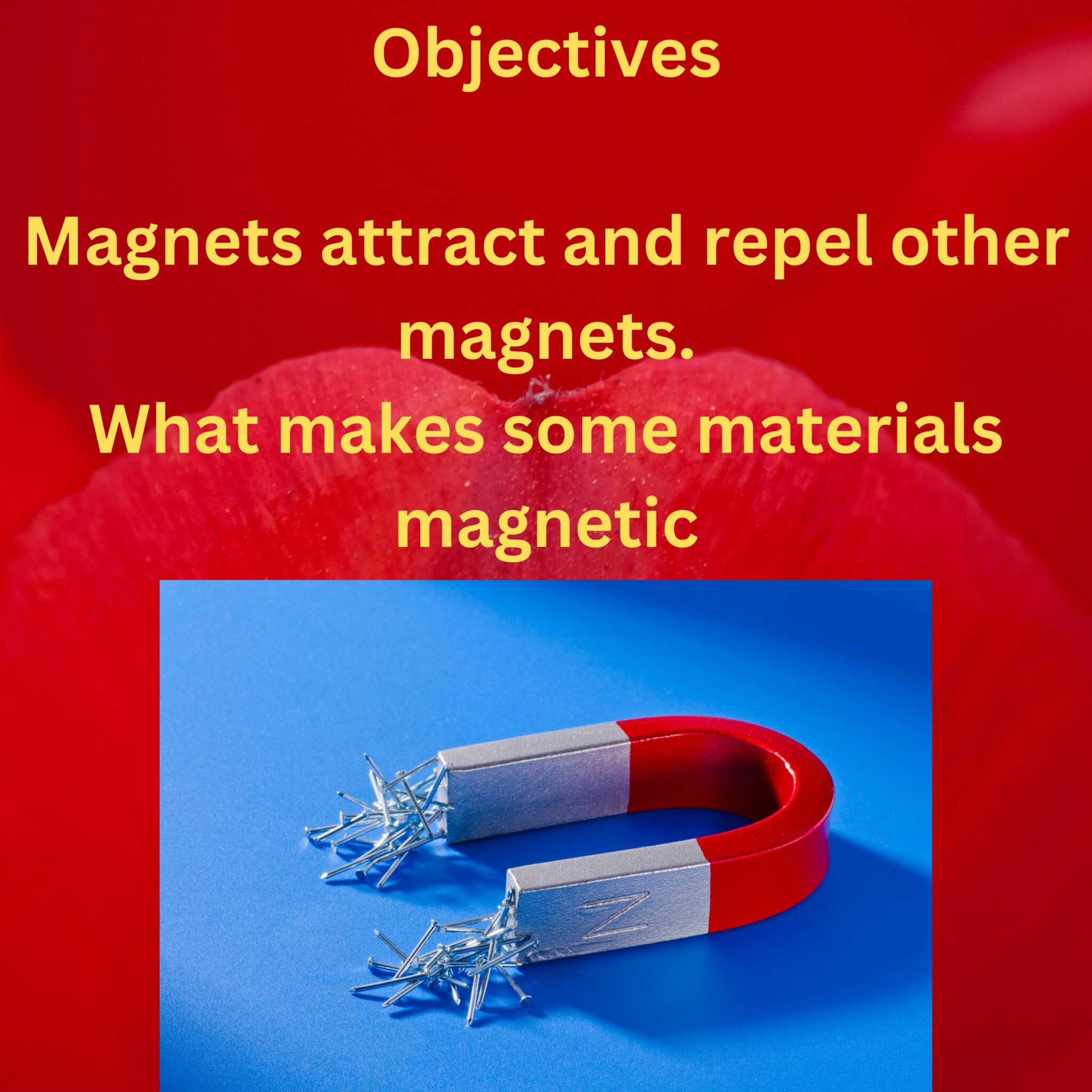 Magnetism-2 Labs and Reading Middle School Physics | Made By Teachers