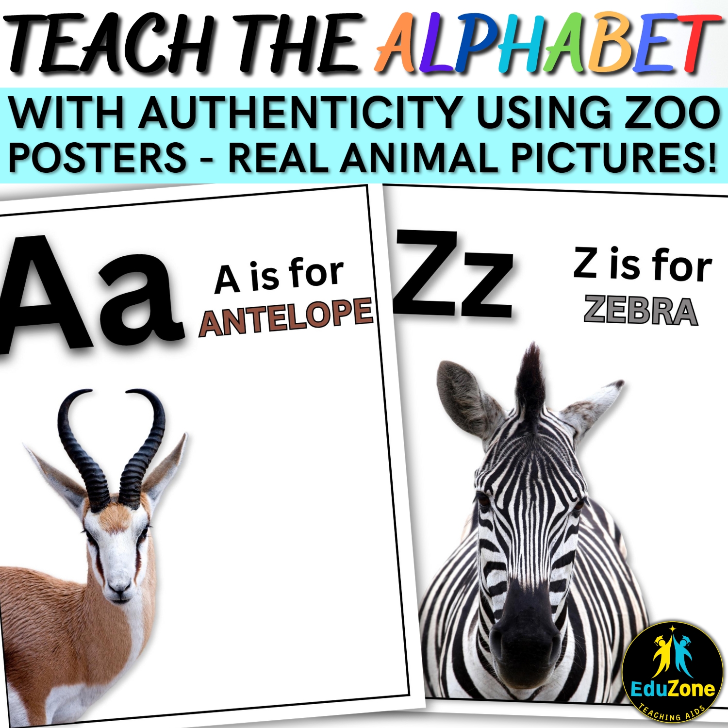 Teach the Alphabet with Authenticity Using Zoo Posters - Real Animal ...