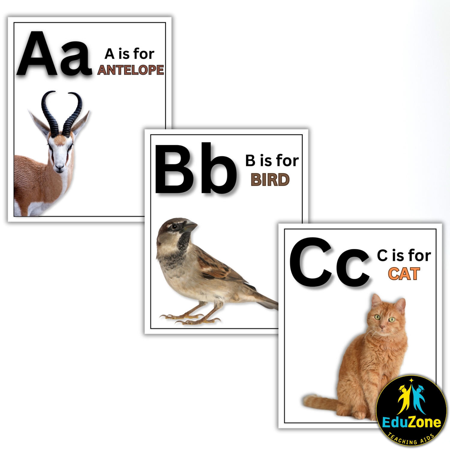 Teach the Alphabet with Authenticity Using Zoo Posters - Real Animal ...