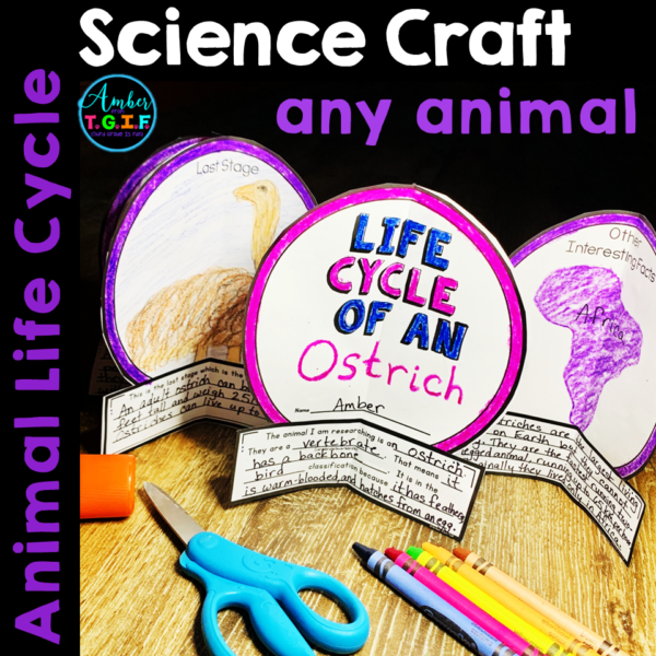 Animal Life Cycle Research Science Craft | Life Cycle of any animal ...