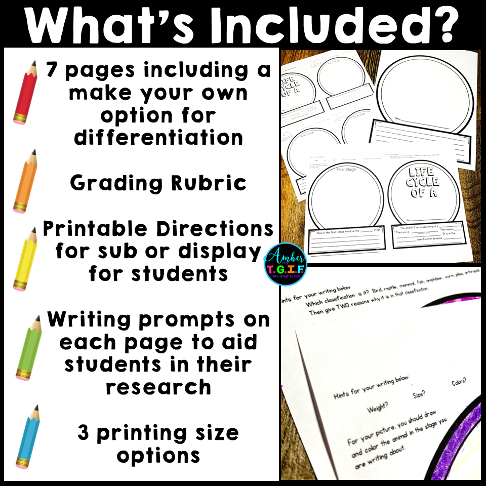 Animal Life Cycle Research Science Craft | Life Cycle of any animal ...