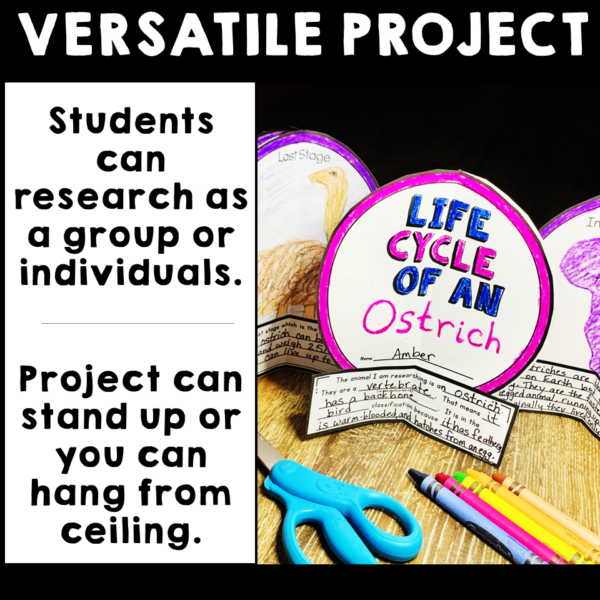 Animal Life Cycle Research Science Craft | Life Cycle of any animal ...