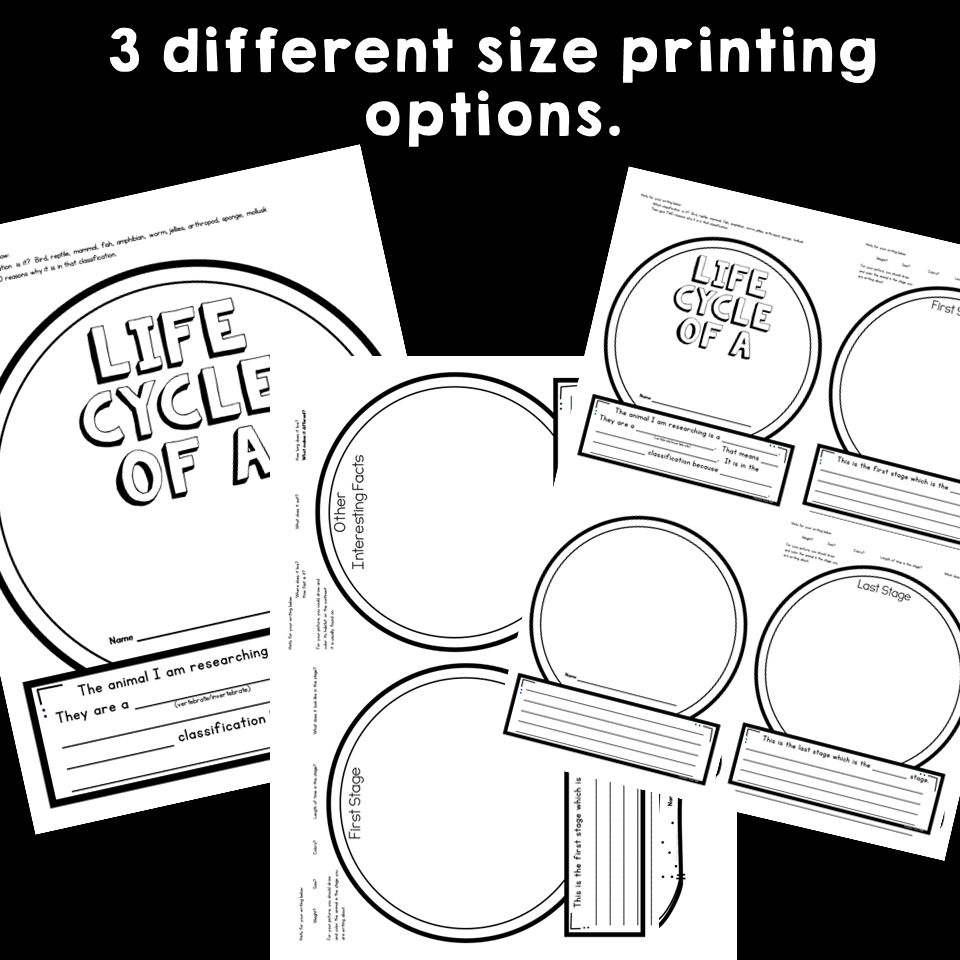 Animal Life Cycle Research Science Craft | Life Cycle of any animal ...