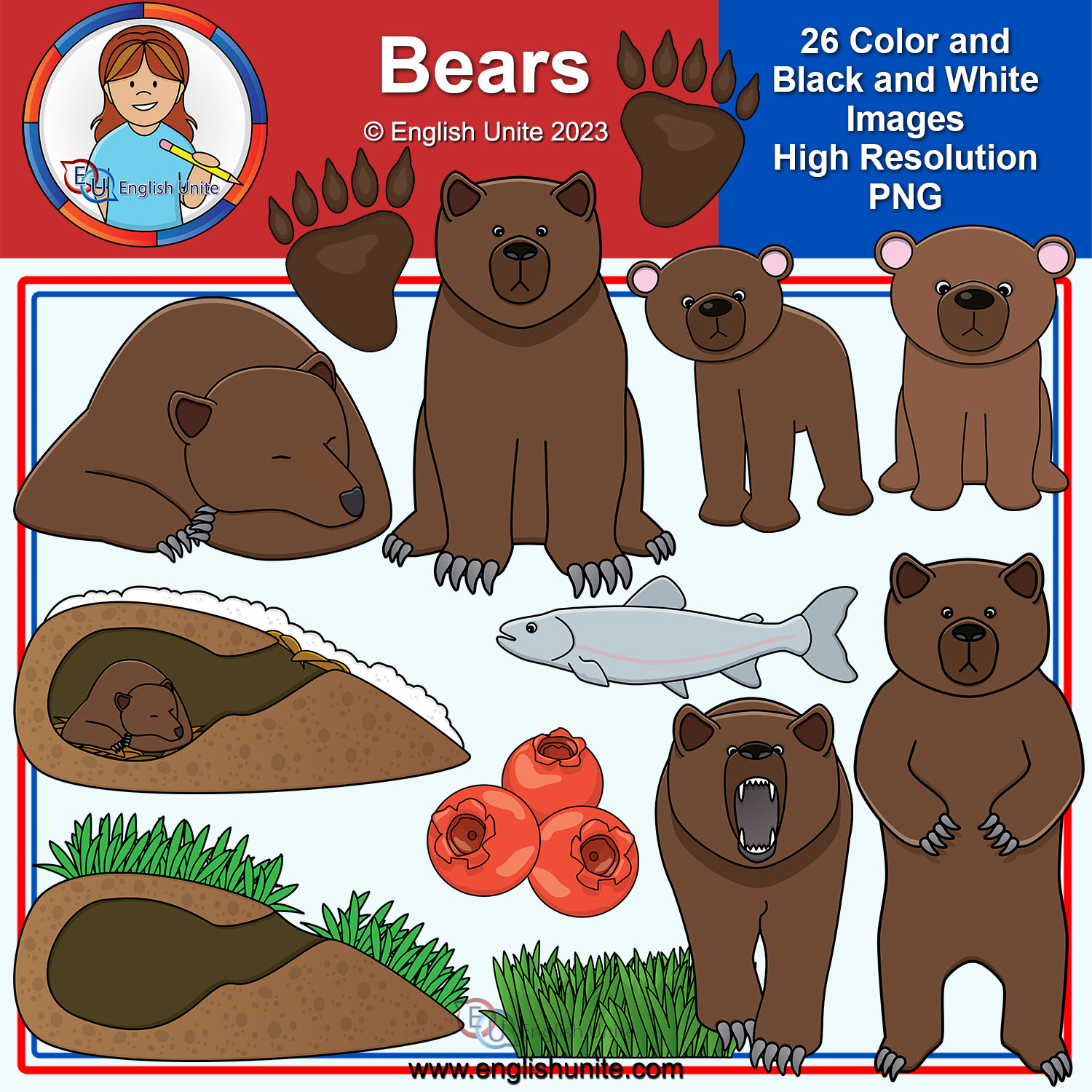 Clip Art - Animal Pack - Bears | Made By Teachers