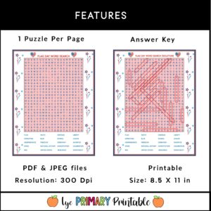 National Flag Day Word Search Puzzle Activity | Made By Teachers