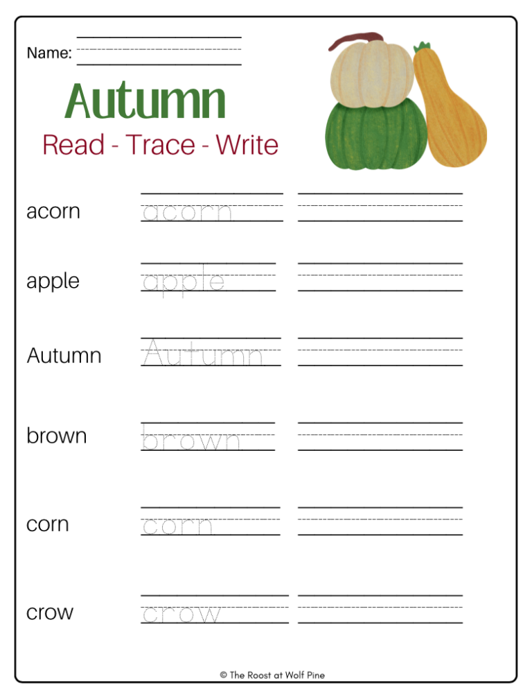 Kindergarten & First Grade Autumn Workbook, Learning, Homeschool ...