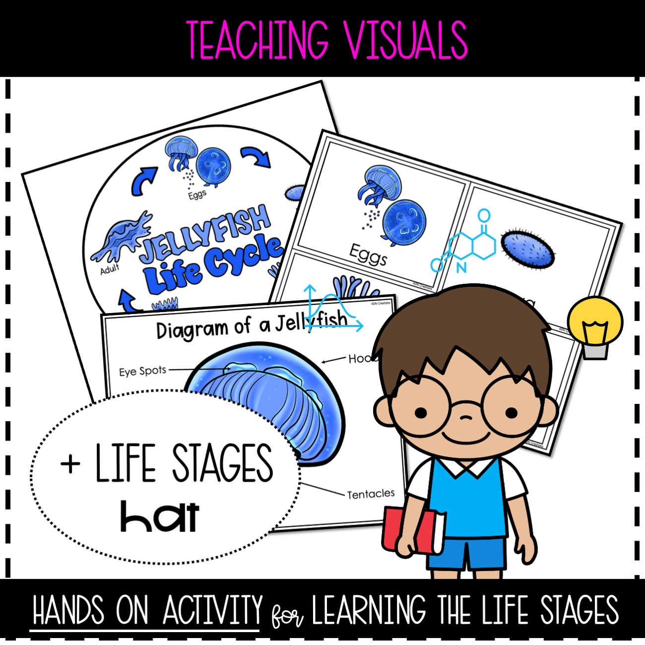 Send HOME Science Jellyfish Life Cycle l All about Jellyfish l ...